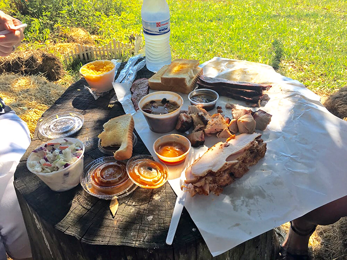 Picnic-style BBQ feast spread out like a smoky treasure map. X marks the spot where your diet plans surrender to deliciousness.