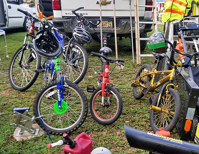 Bicycle generations unite! From training wheels to mountain bikes, these cycles await new adventures and skinned knees across Tennessee's neighborhoods.