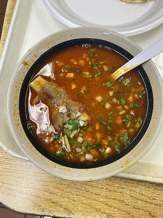 A bowl of birria that could cure whatever ails you. That rich, rust-colored broth isn't just soup—it's liquid comfort spiked with generations of tradition.