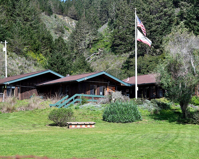 The Bolinas-Stinson School &ndash; where local kids learn reading, writing, and the sacred art of never revealing directions to tourists.