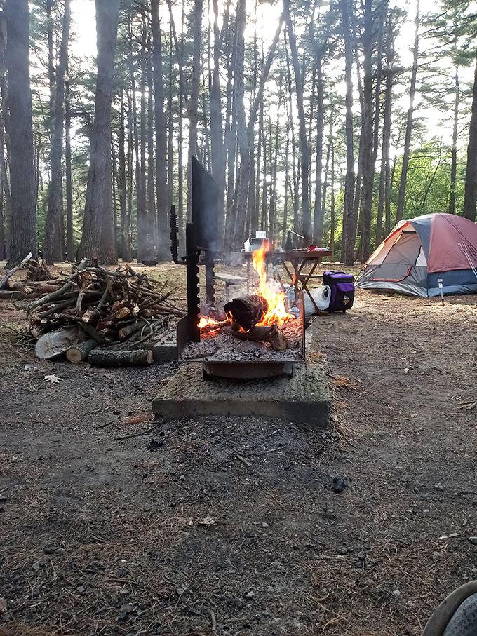 Campfire therapy in session: Where s'mores become gourmet cuisine and every ghost story sounds strangely believable.