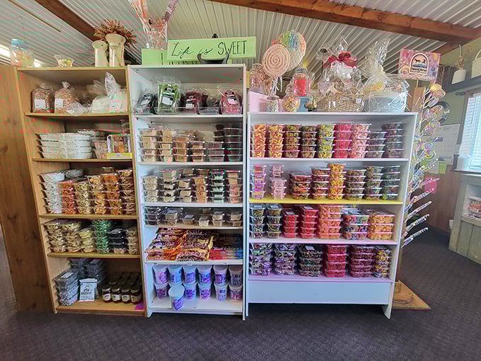 The candy section isn't just a sugar display&mdash;it's childhood nostalgia in technicolor, where grown-ups remember what it's like to be eight again.