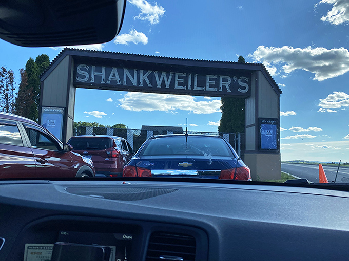 Arriving at Shankweiler's feels like joining a secret club where the password is simply a love for movies and memories.