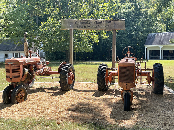 Vintage tractors stand at attention, ready to tell tales of agricultural innovation. These iron workhorses have earned their retirement after decades of faithful service.