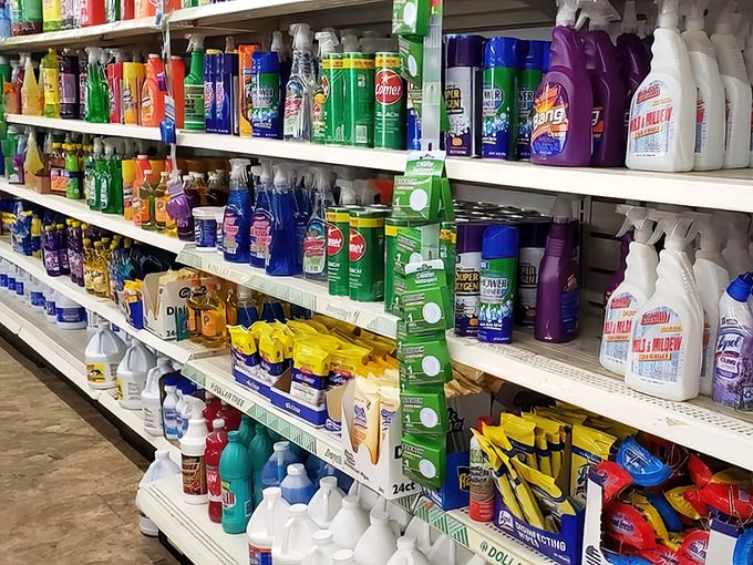 The cleaning aisle&mdash;a kaleidoscope of solutions for life's messes. Wisconsin homes sparkle thanks to these budget-friendly bottles.