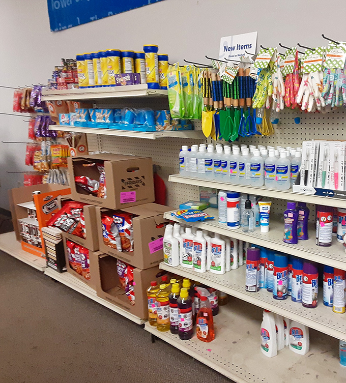 Household essentials with previous lives - cleaning supplies and kitchen tools ready to tackle messes in their next chapter.