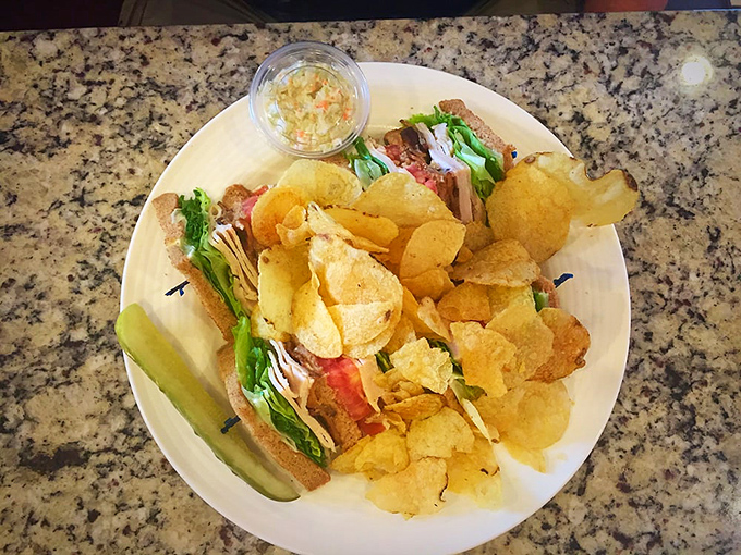 Club sandwich perfection accompanied by crispy chips and creamy coleslaw for complete comfort.