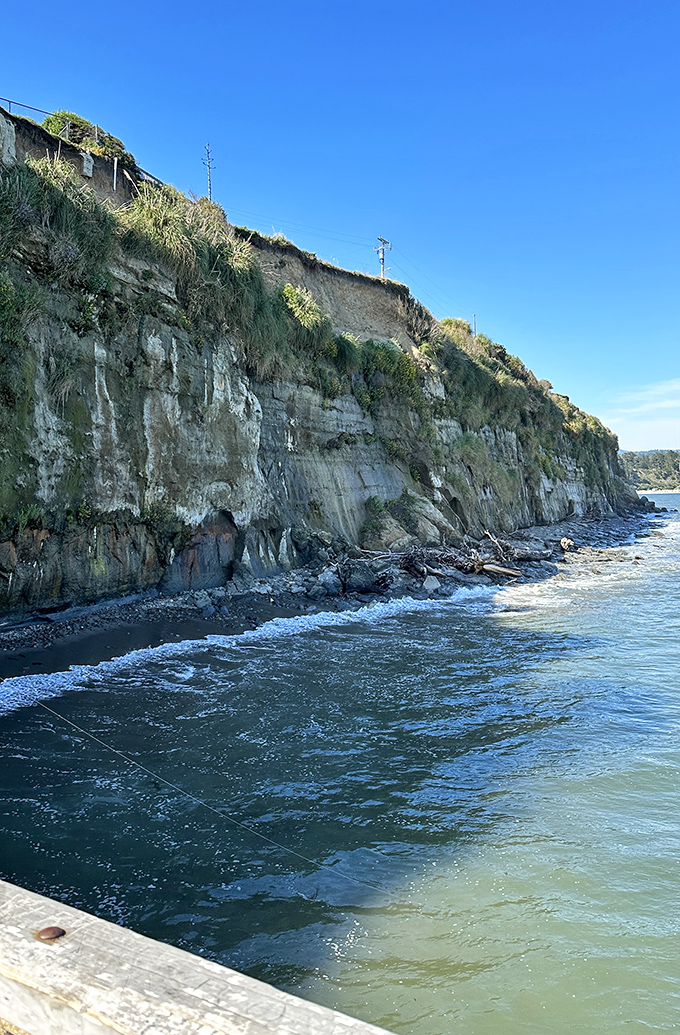 Dramatic coastal cliffs remind visitors that California's coastline was sculpted by the persistent Pacific, creating natural drama around every corner.