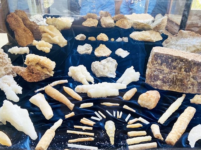 A collection of speleothems that looks like nature's jewelry box. Each crystalline formation tells a story written in the language of minerals and time.