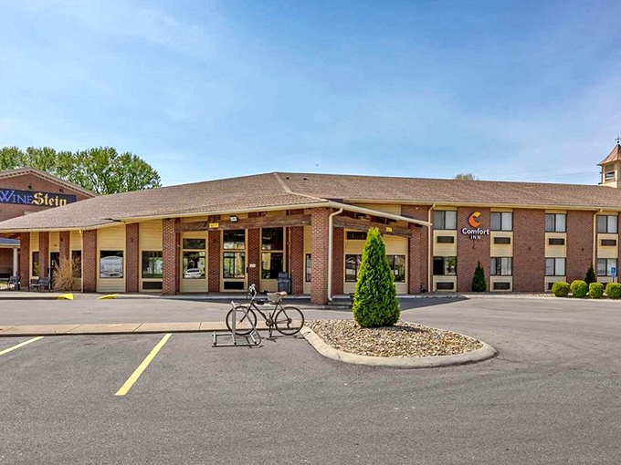 The Comfort Inn offers weary travelers a no-fuss landing pad with all the essentials&mdash;proof that Mount Vernon understands hospitality doesn't require pretense.