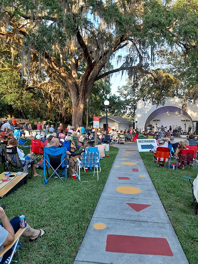 Live music under ancient oaks&mdash;Brooksville's community gatherings blend natural beauty with hometown entertainment.