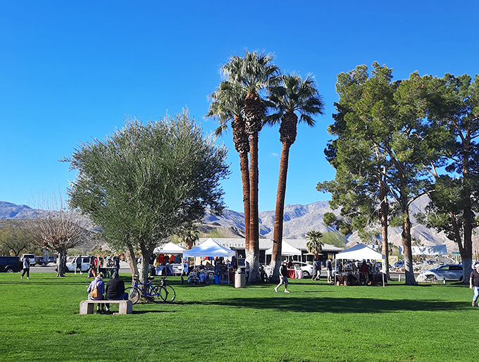Community gatherings under palm trees &ndash; where Borrego Springs shows that the best amenities aren't buildings but the people who inhabit them.