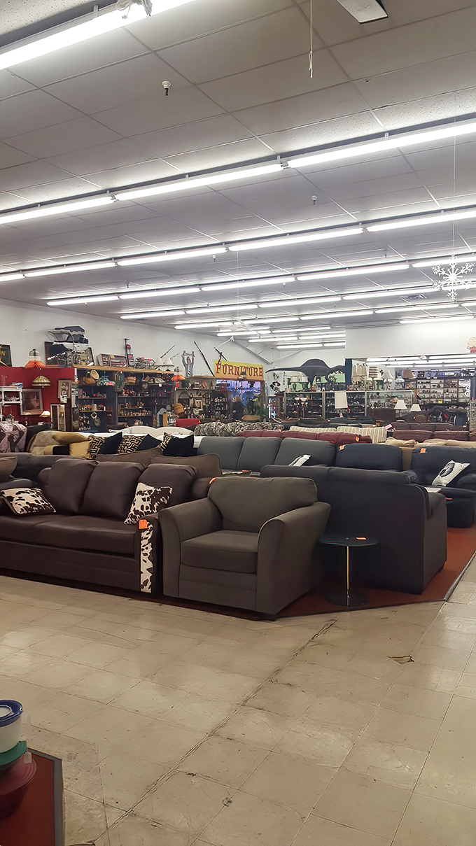 Sofa, so good! This furniture section offers enough seating options to host the world's most eclectic living room makeover show.