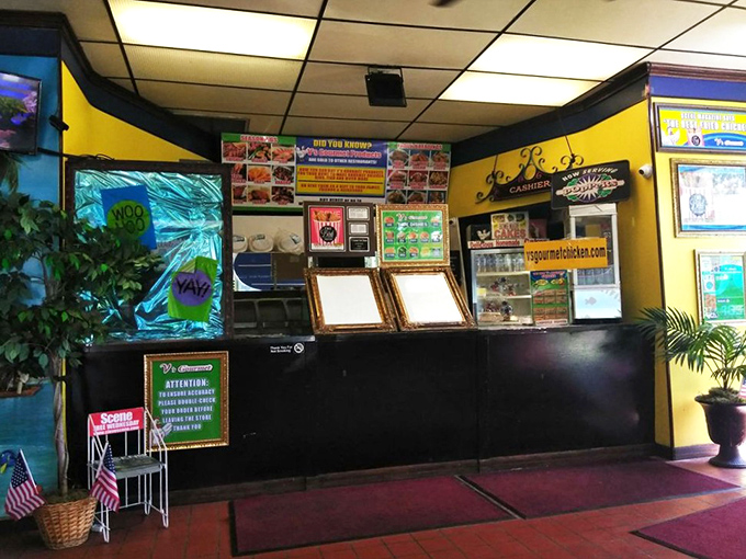 Yellow walls and tropical murals create a sunny vibe even on Cleveland's grayest days. Chicken with a side of escapism.