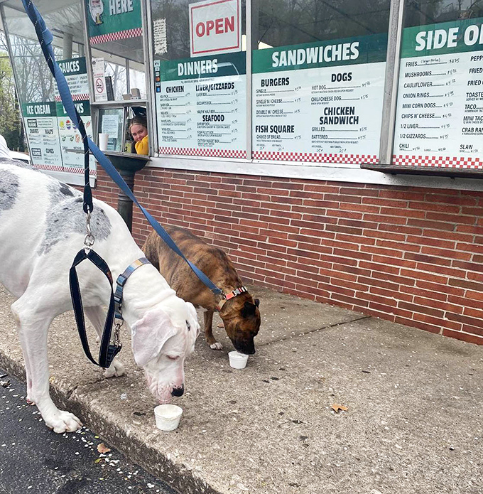 This no-nonsense ordering system proves that sometimes the best experiences come in the most straightforward packages.