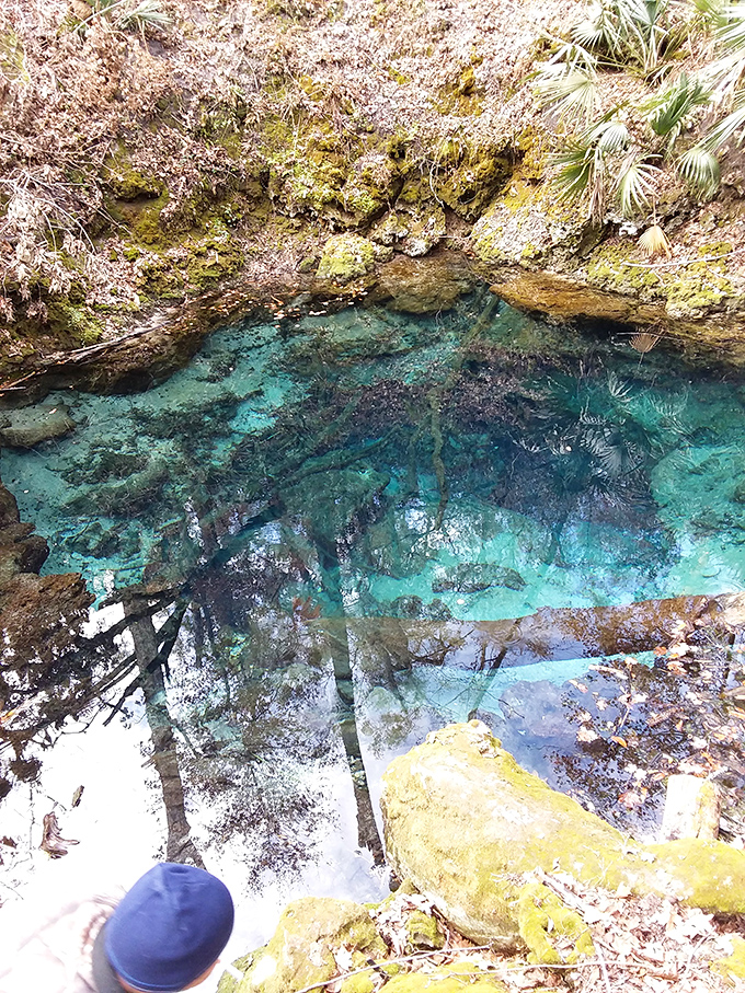 A window to Florida's soul&mdash;this crystal portal reveals the limestone bones beneath the state's sandy skin.