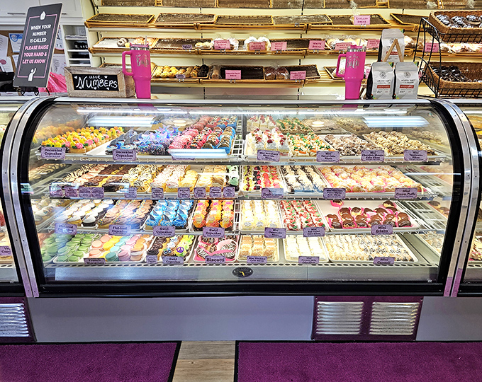 A display case that should come with a warning label: "May cause spontaneous joy, excessive drooling, and the inability to choose just one."