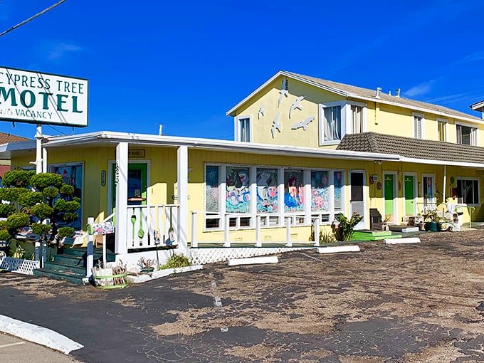 The Cypress Tree Motel radiates vintage coastal charm with colors brighter than your childhood memories of summer vacation.