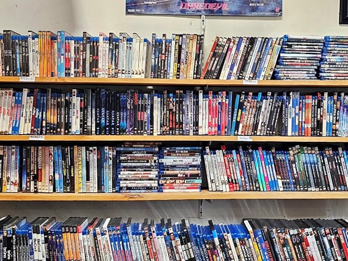 Hollywood's history, alphabetized and priced to move. Each DVD spine represents approximately 90 minutes of someone's rainy day entertainment.