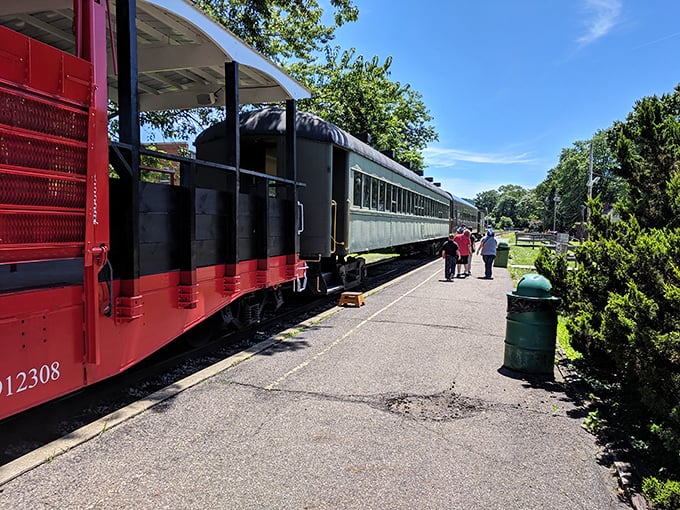 Summer excursions bring passengers of all ages together, proving that the magic of train travel transcends generations and smartphone distractions.