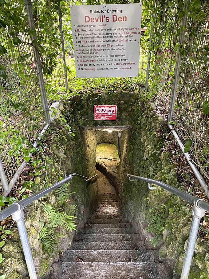 Rules for entering remind you this isn't your average swimming hole. "No lifeguard on duty" takes on new meaning when you're swimming in prehistory.
