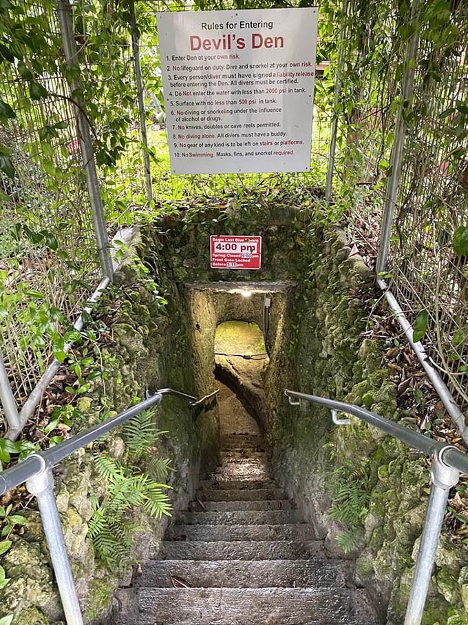 Rules for entering remind you this isn't your average swimming hole. "No lifeguard on duty" takes on new meaning when you're swimming in prehistory.