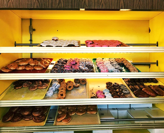 Donut heaven, neatly arranged in rows. This display case isn't just showing pastries &ndash; it's offering life-changing decisions that will haunt you with "what ifs" if you choose unwisely.