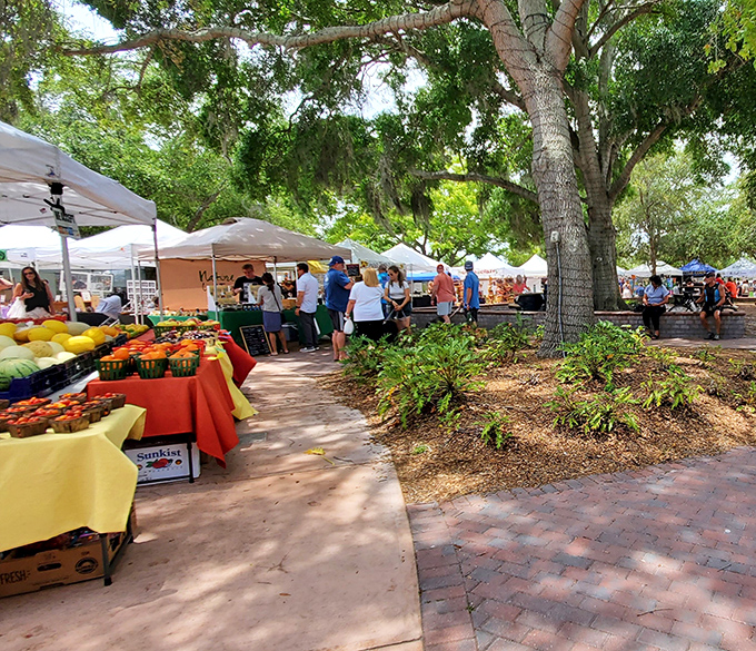 The Downtown Market buzzes with local energy and fresh produce. Where conversations about heirloom tomatoes can lead to unexpected friendships and recipe swaps.