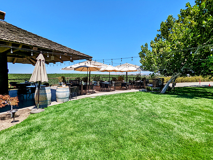 Outdoor tasting areas transform wine sampling into a sensory experience &ndash; where vineyard views complement what's in your glass.