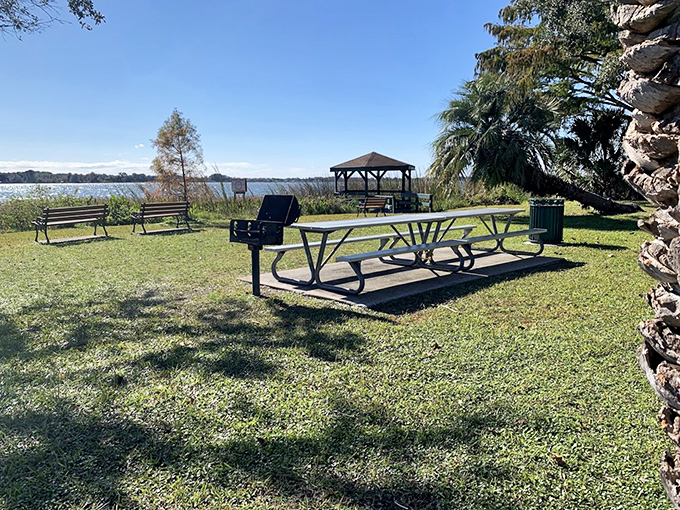 Elizabeth Evans Park provides the perfect picnic spot, where lake views come standard and afternoon naps under palm trees are practically mandatory.