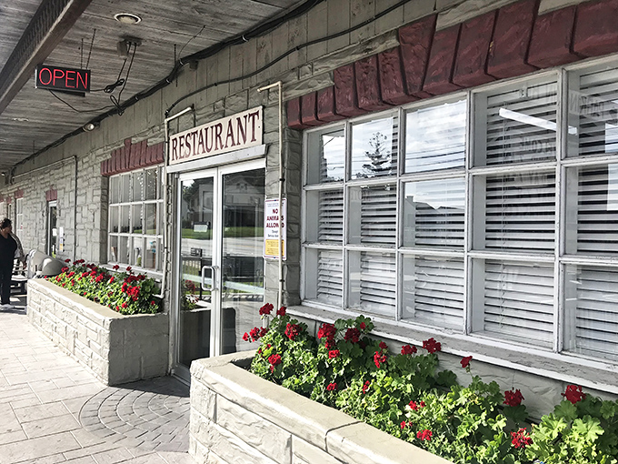 Red geraniums welcome hungry visitors at the entrance, nature's way of saying, "Good food inside!" without needing a neon sign.