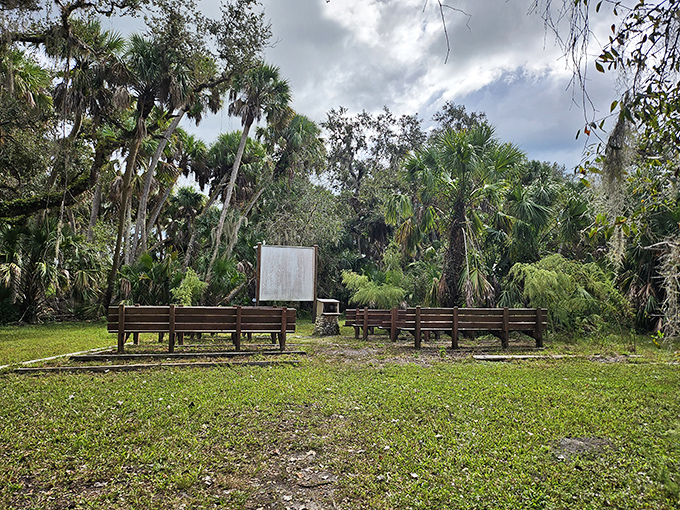 The park's outdoor classroom where the only pop quiz might be identifying that rustling sound in the nearby palmetto bushes. 