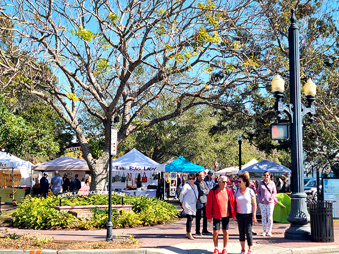 Under ancient oaks, Dunedin's community gathers to browse, chat, and pretend they're not all secretly eyeing the same handcrafted jewelry.