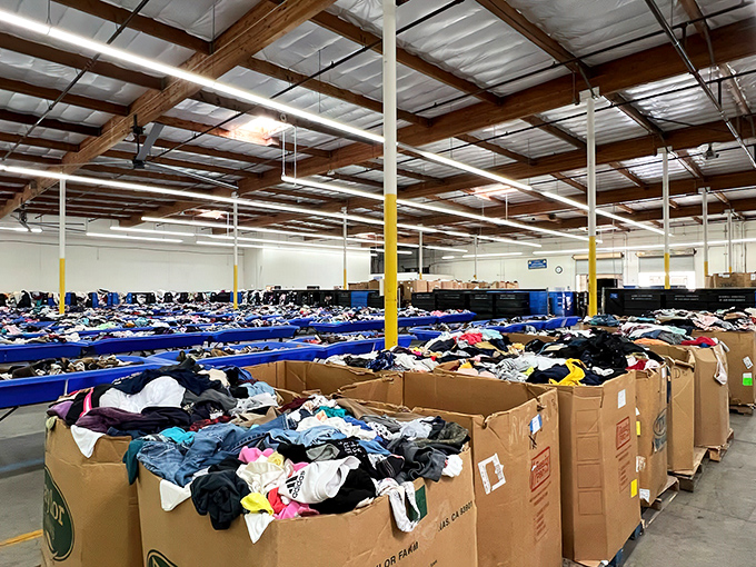 Row after row of bins stretch across the warehouse floor, a retail landscape of endless discovery.