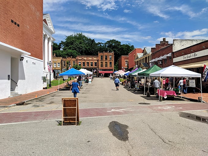 The farmers' market—where vegetables haven't traveled farther than you did to get there. Weekend ritual that feeds both body and community.