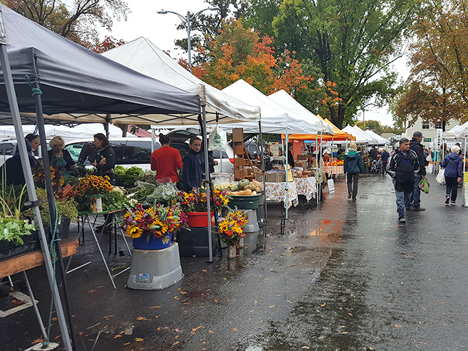 Chico's farmers market transforms ordinary streets into a cornucopia of local bounty, where retirement dollars stretch further than your pre-coffee morning yawns.