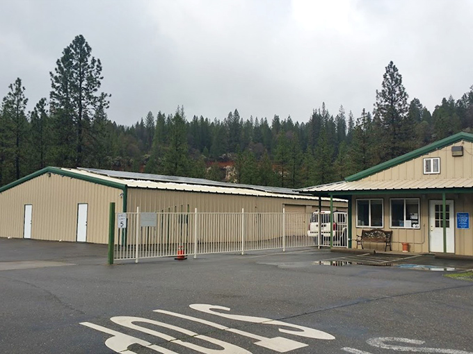 Even Foresthill's storage facility embraces the mountain aesthetic. When your extra stuff needs a vacation home with pine-scented air.