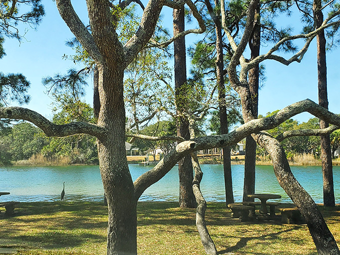 Francis Park offers waterfront picnic spots where the only thing you'll spend is time&mdash;leaving more in your wallet for happy hour later.