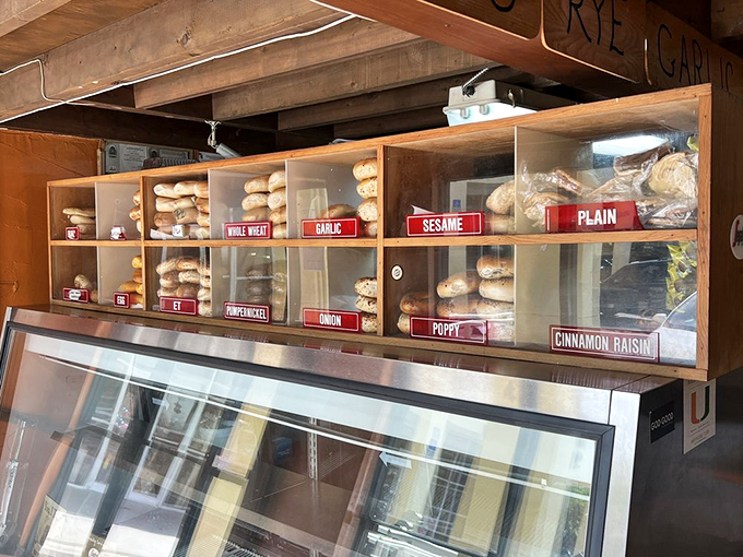 Bagel taxonomy on full display: from plain to everything, each variety waiting for its schmear-and-coffee destiny.