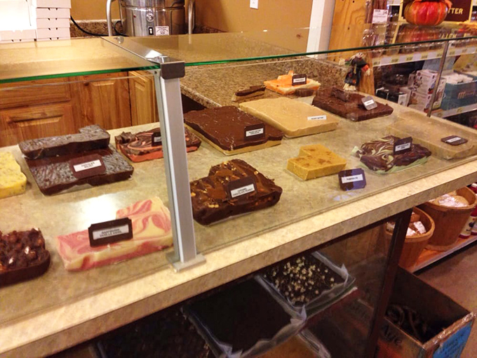 This display case doesn't just hold fudge—it showcases edible artwork. Each variety silently argues why it deserves to be your chosen indulgence.