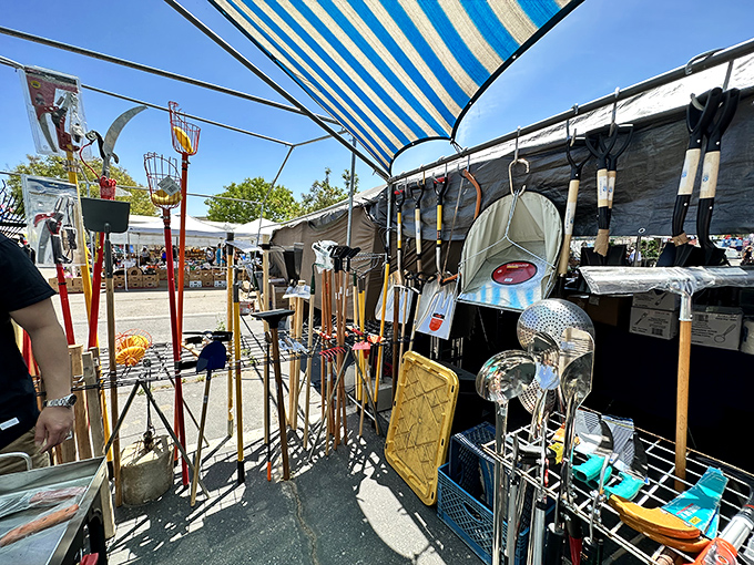 Every gardener's fantasy: tools that promise to tame the wildest backyard. That perfect trowel is waiting for your hand.