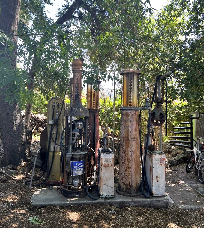 Vintage gas pumps stand like sentinels from another era, a fossil fuel forest preserving memories of road trips past.