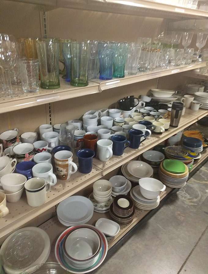 Glassware galore where every toast deserves crystal clarity without the crystal price tag burden.