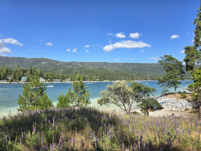 Wildflowers and water views create postcard-worthy moments &ndash; the kind that cost nothing but create memories worth everything. 