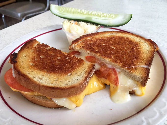 The humble grilled cheese elevated to art form. That melty cheese pull would make any Instagram food influencer weep with joy.