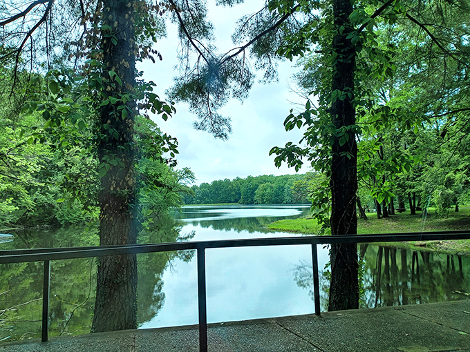 This tranquil lake view offers the kind of serenity that expensive meditation apps try to replicate but can never quite capture.