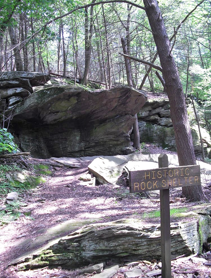 Ancient rock formations tell stories older than any bestseller. This natural shelter has been hosting visitors since before "glamping" was even a concept.