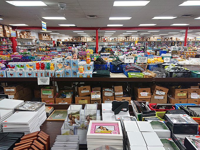 Books, toys, and treasures create a wonderland where imagination meets incredible value for families.