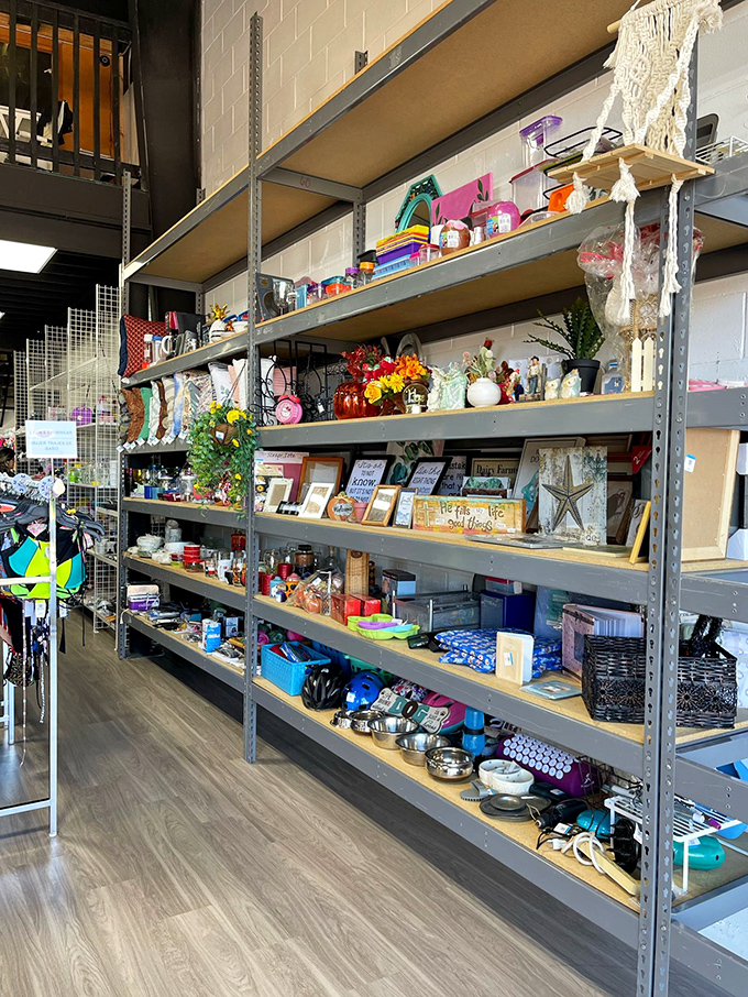 Home d&eacute;cor treasures line industrial shelving &ndash; from practical kitchen tools to quirky conversation pieces that ask, "Where have I been all your life?"