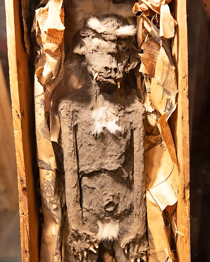 This mummified figure surrounded by yellowed papers looks like it's been waiting centuries for someone to finally process its paperwork.